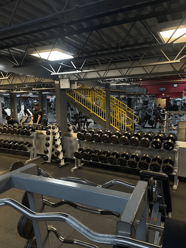 Synergy Fit Clubs | Best Gym in Astoria & NYC | Community Gym